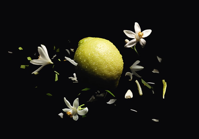 GUERLAIN Les Parfums masculins