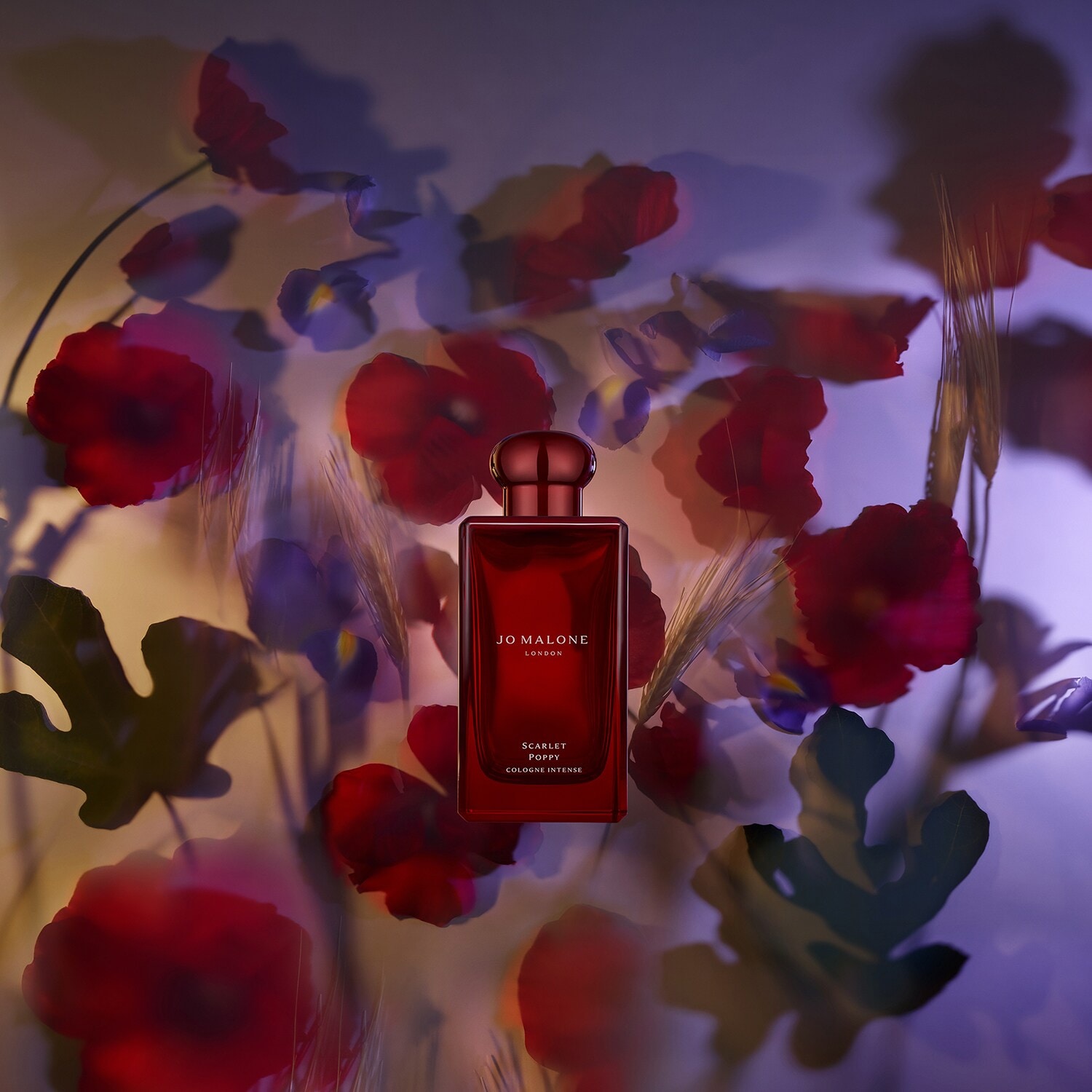 Scarlet Poppy - Cologne Intense di JO MALONE LONDON ≡ SEPHORA