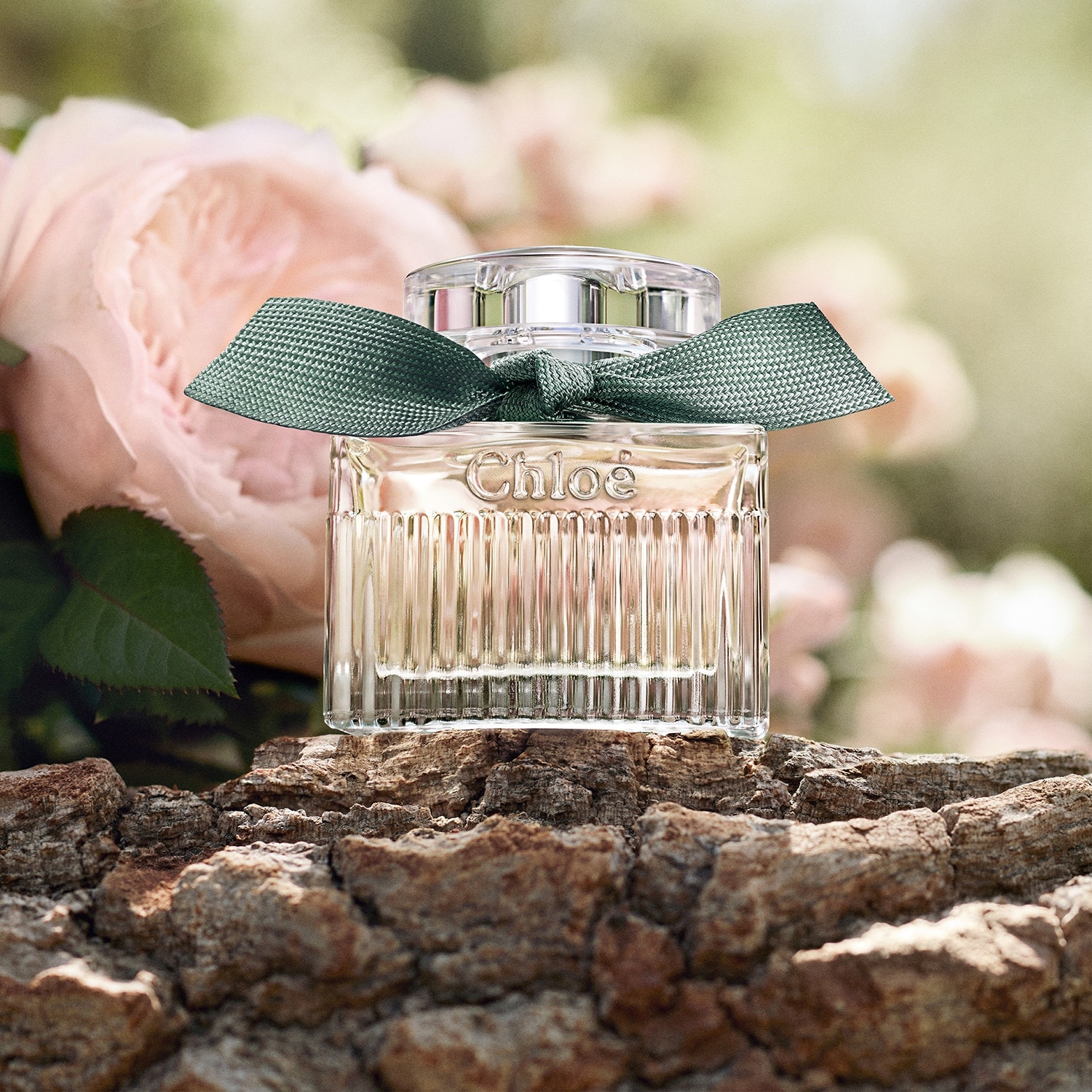 Chloé Rose Naturelle Intense - Eau De Parfum di CHLOÉ ≡ SEPHORA