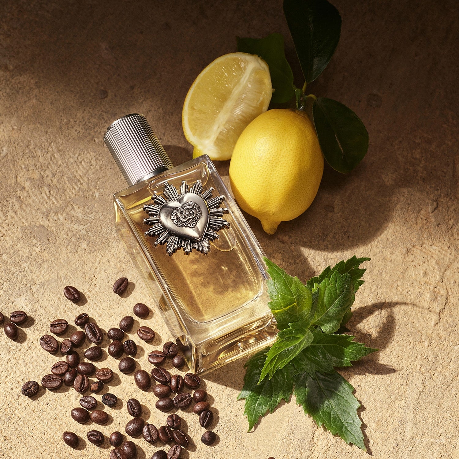 Devotion For Men - Eau de Parfum di DOLCE & GABBANA ≡ SEPHORA Devotion For Men - Eau de Parfum di DOLCE & GABBANA ≡ SEPHORA